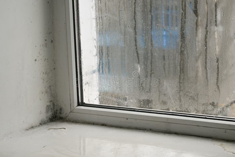 Due To the Increased Humidity of the Window, Black Mold Appears on the ...