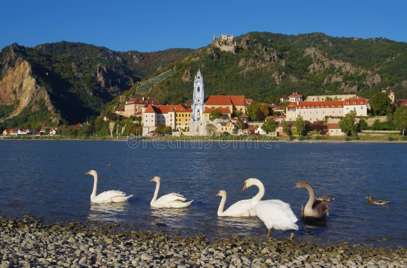 Duernstein with swan stock image. Image of europe, house - 38505785