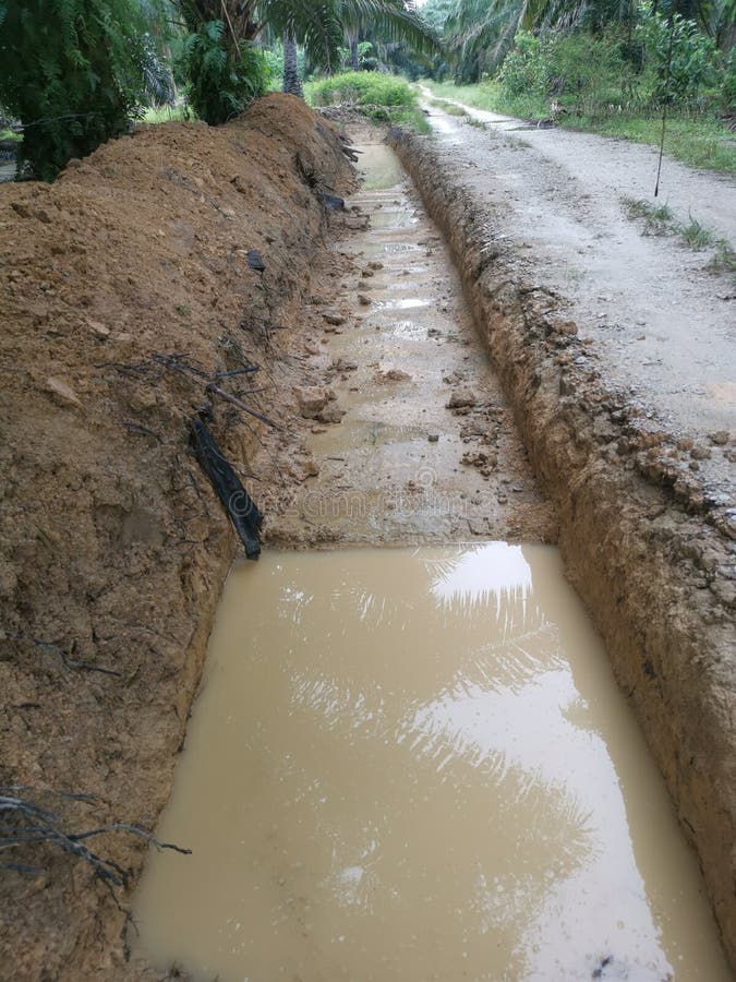 Drainage in the Rural Countryside Farm. Stock Photo - Image of ...