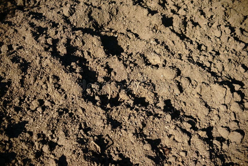 Dug ground stock photo. Image of soil, underground, sunlight - 79167836
