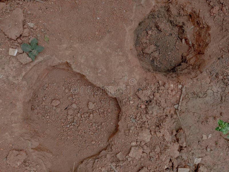 Dug hole in the ground stock photo. Image of digger - 376421136