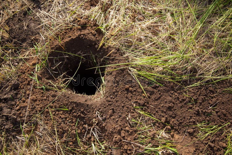 Dug Pit in the Ground for the Fence Stock Photo - Image of site, boring ...