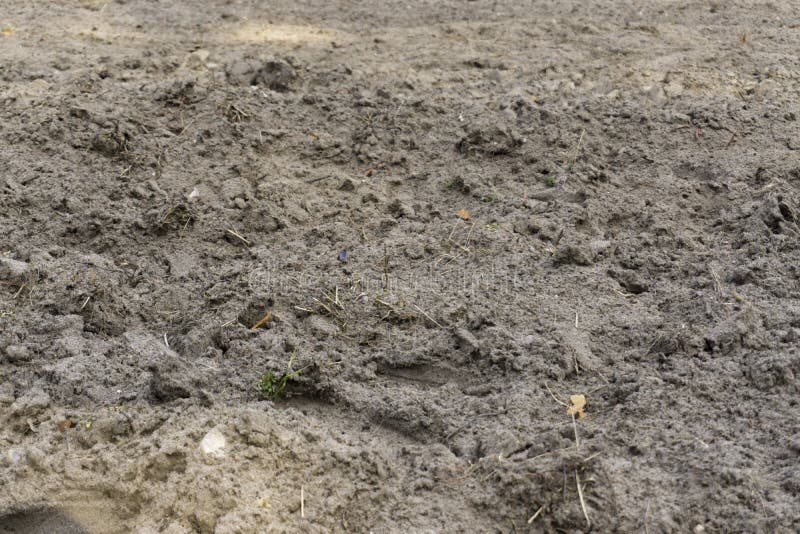1,347 Dug Earth Background Stock Photos - Free & Royalty-Free Stock ...