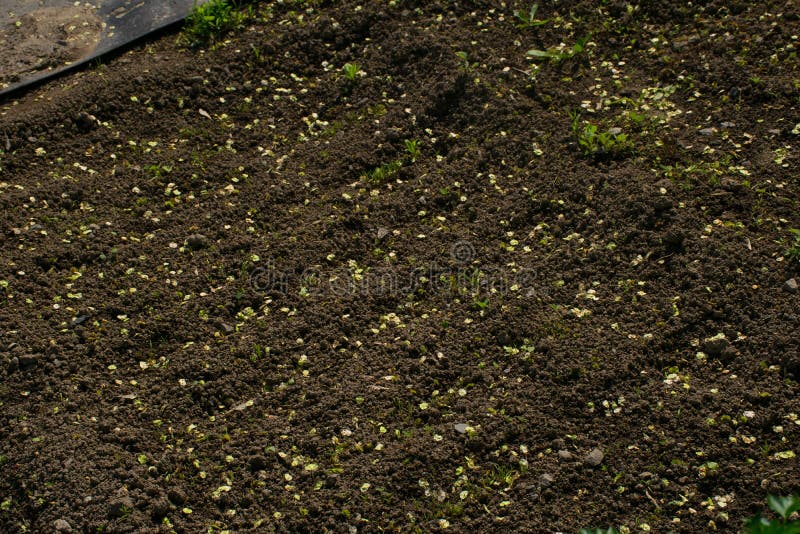 Dug up land stock image. Image of cultivated, detail - 145777277