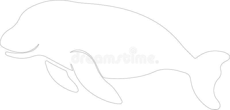 Dugong Outline Stock Illustrations – 151 Dugong Outline Stock ...