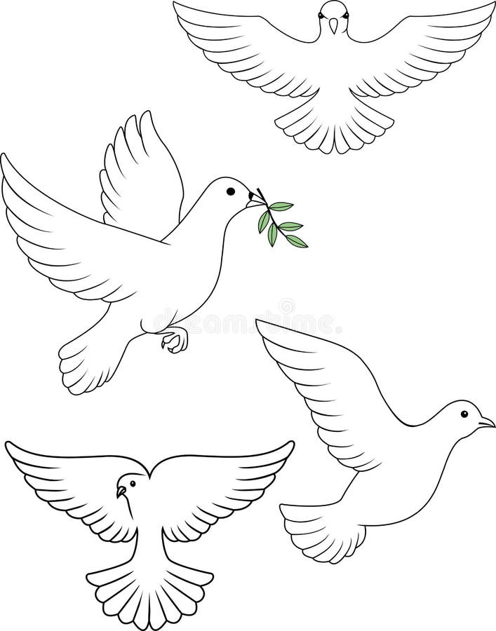 Duif stock illustratie. Illustration of vrijheid, duif - 34645289