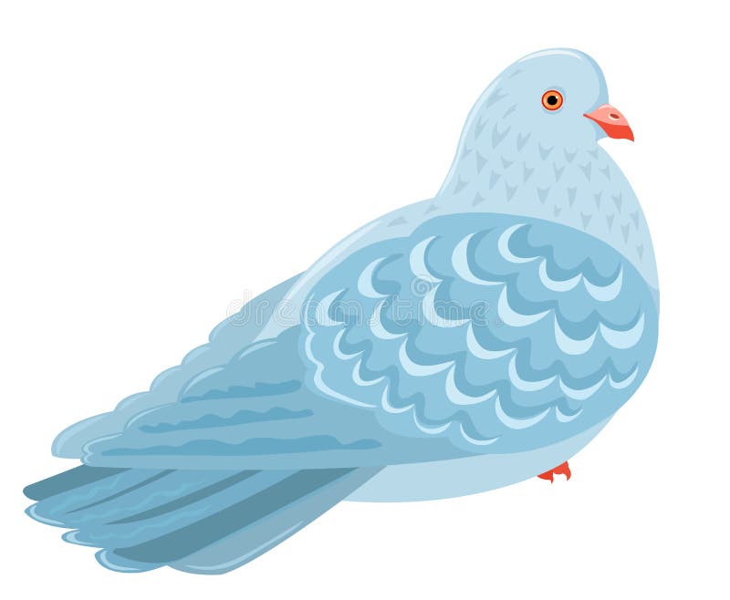 Duif vector illustratie. Illustration of actie, grijs - 24980800