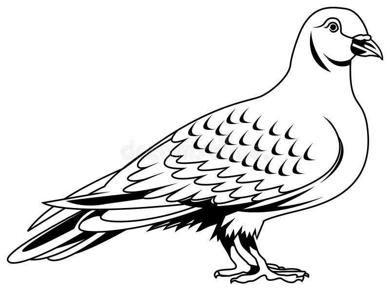 Duif Stock Illustrations, Vectors, & Clipart – (45,711 Stock Illustrations)