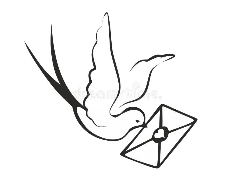 Drager-duif met brief. vector illustratie. Illustration of homo - 16527674