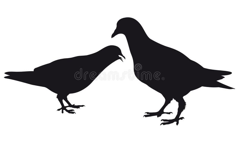 Duif. Silhouet. Vector vector illustratie. Illustration of vrij - 34592388