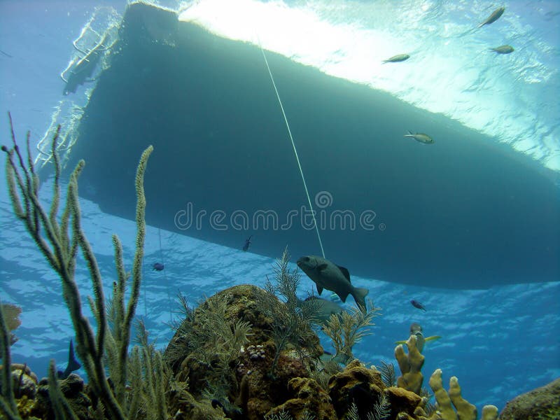 Duik boot en ertsader stock foto. Image of onder, tropisch - 13000804