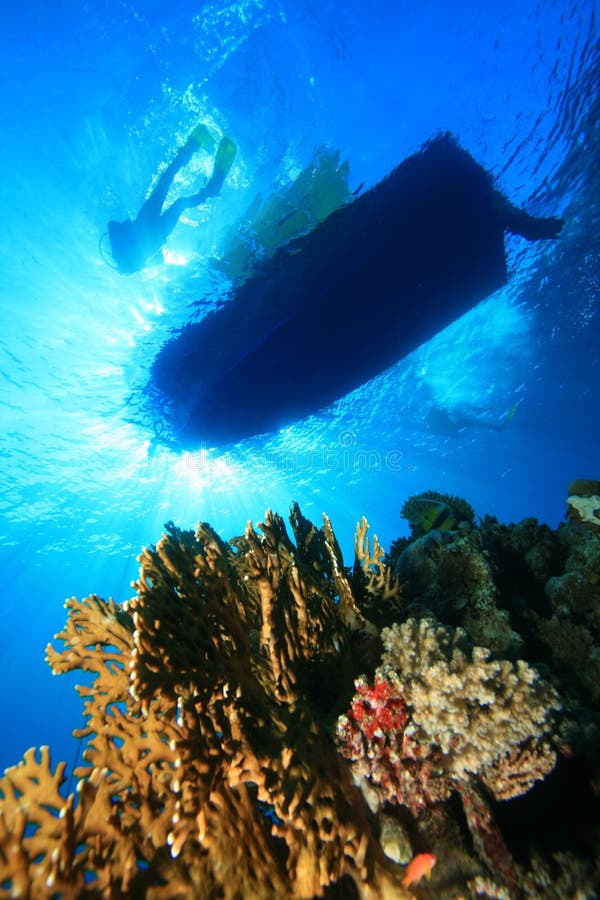 Duikboot en koraalrif stock afbeelding. Image of blauw - 12317775