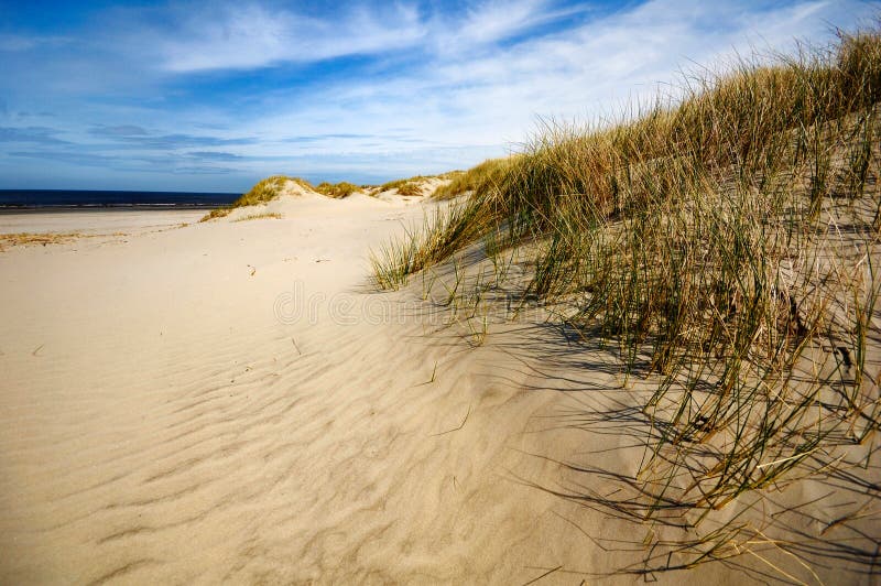Duinen, Strand En Kust In Ameland, Nederland Stock Foto - Afbeelding ...
