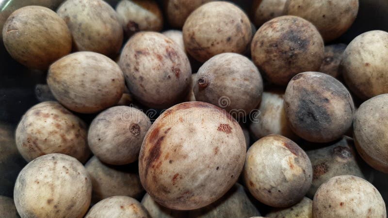 Duku Fruit is the Original Fruit from the State of Indonesia Stock ...