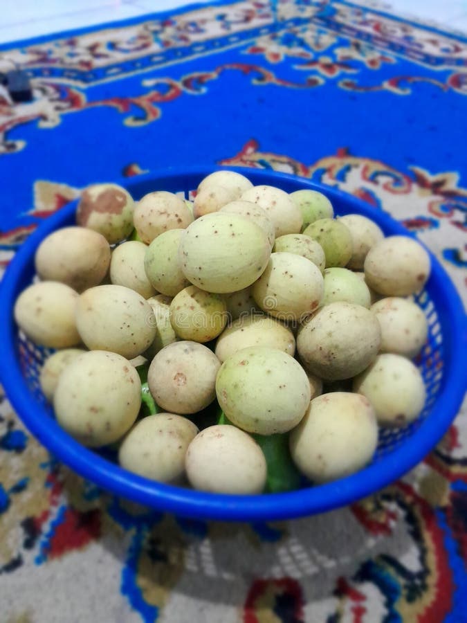 Duku Fruit, in Fruit Season Stock Image - Image of fruit, indonesia ...