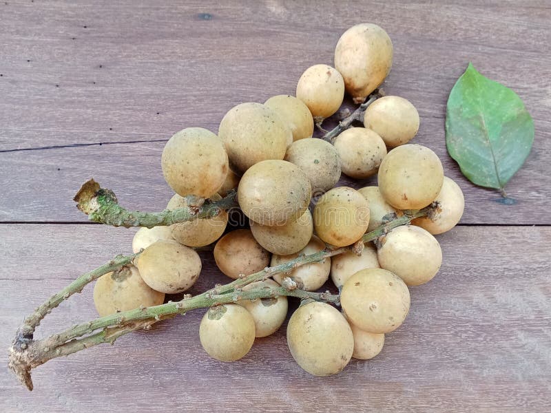 Duku Fruit is a Tropical Fruit that Taste Sweet and Sour Stock Photo ...