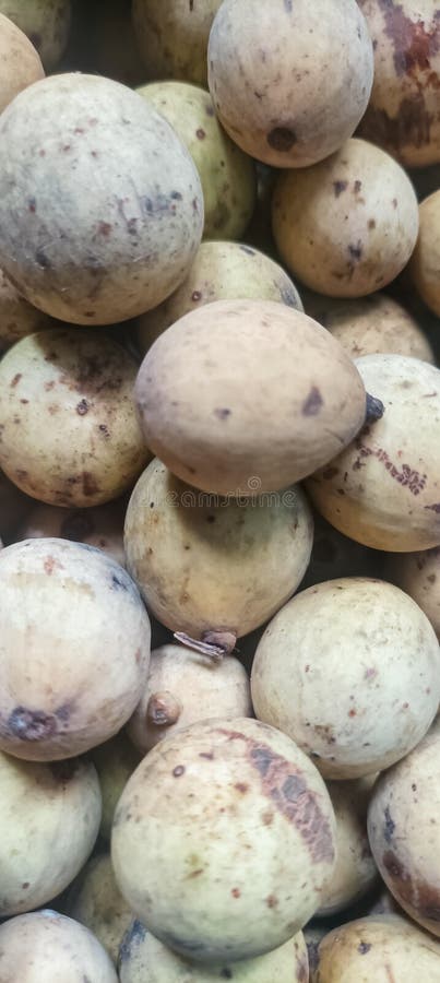 Duku is a Type of Fruit Belonging To the Meliaceae Tribe. Stock Photo ...