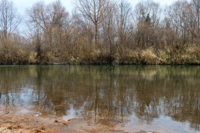 Dull Cloudy Autumn Landscape, River Bank and Trees Reflected in Water ...