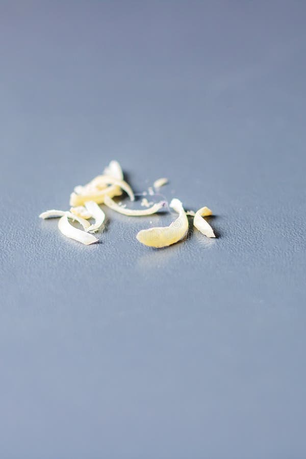 A Dull Gray Surface that Has a Few Pieces of Food Scattered Across it ...