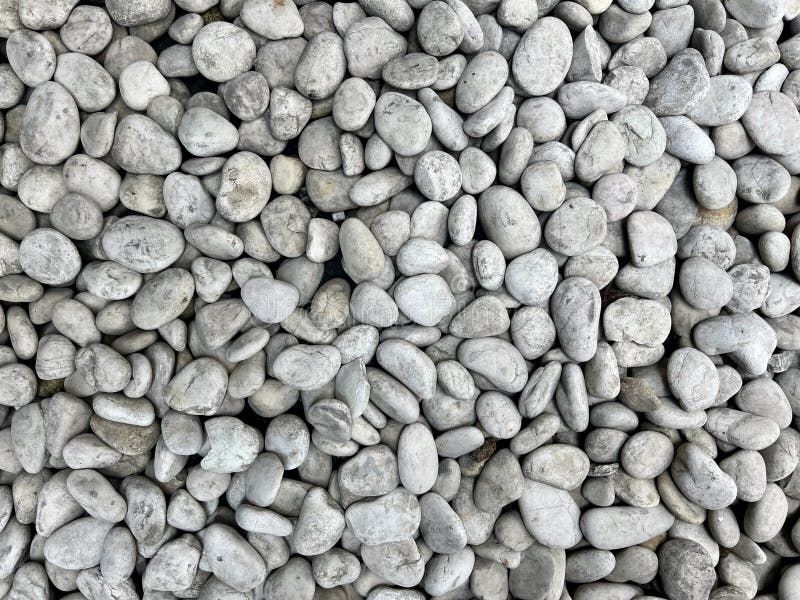 Dull White Pebbles Texture Stock Photos - Free & Royalty-Free Stock ...