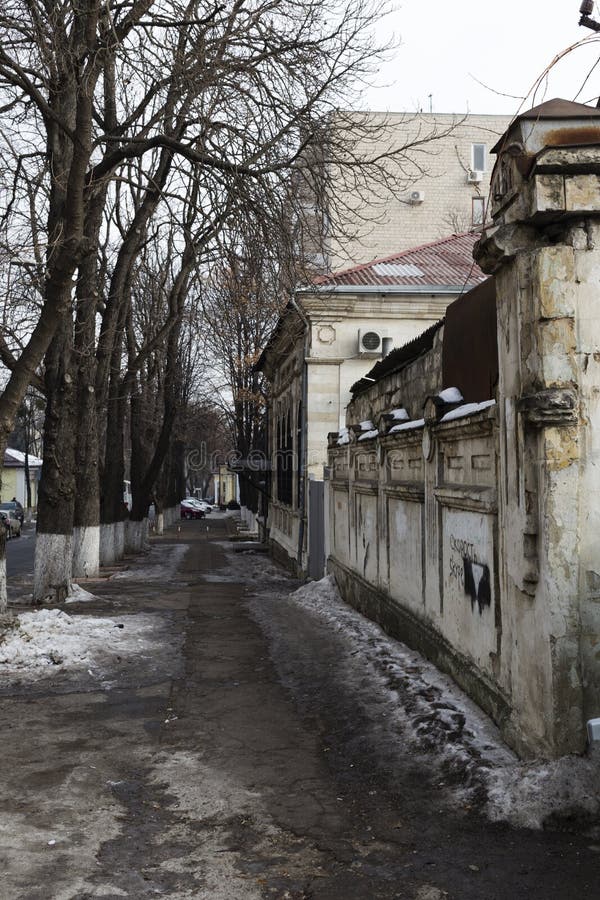 Dull winter street stock image. Image of magic, branch - 180107473