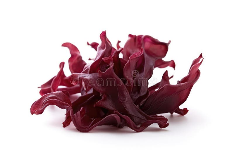 Dulse Algae on White Background. Generative AI Stock Illustration ...