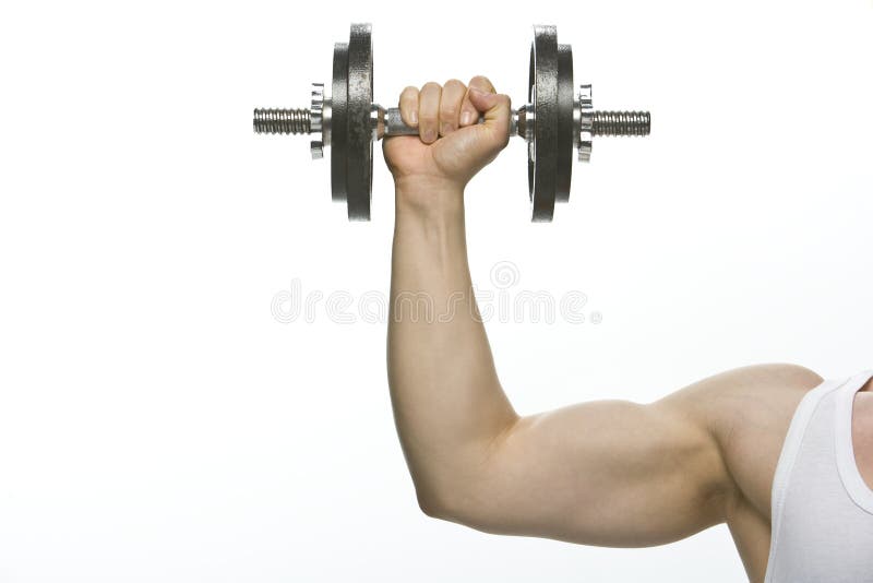 Dumbbell Being Held Up by Arm. Stock Photo - Image of grip, body: 13552492
