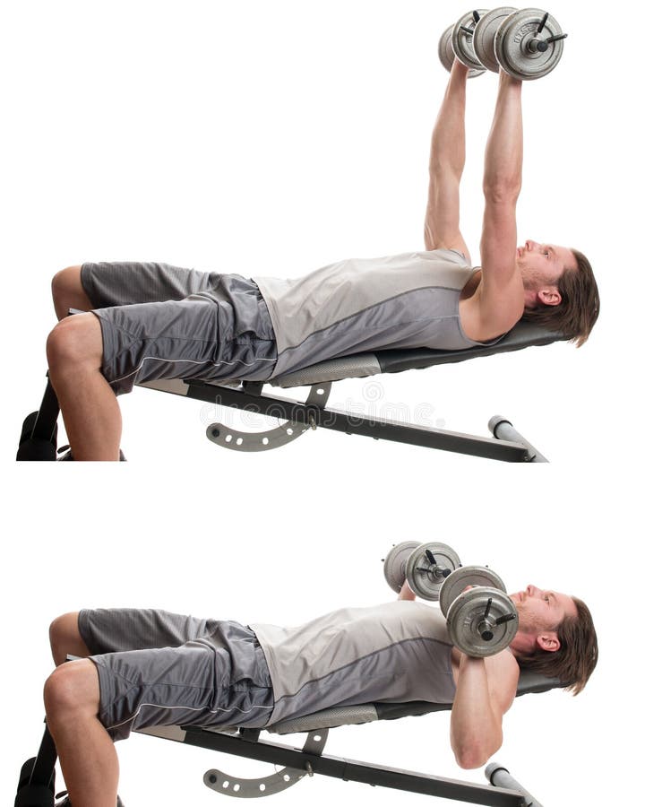 Dumbbell Chest Press stock photo. Image of fitness, dumbbells - 68146264