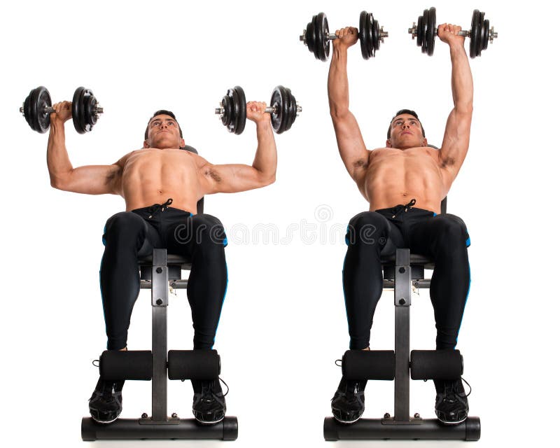 Dumbbell Chest Press stock photo. Image of person, series - 66380432