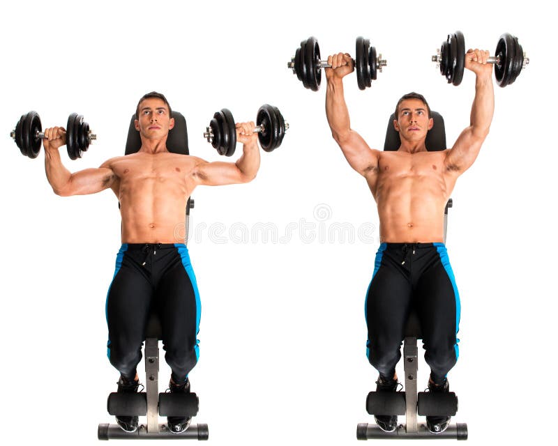 Dumbbell Chest Press stock image. Image of chest, fitness - 66380437