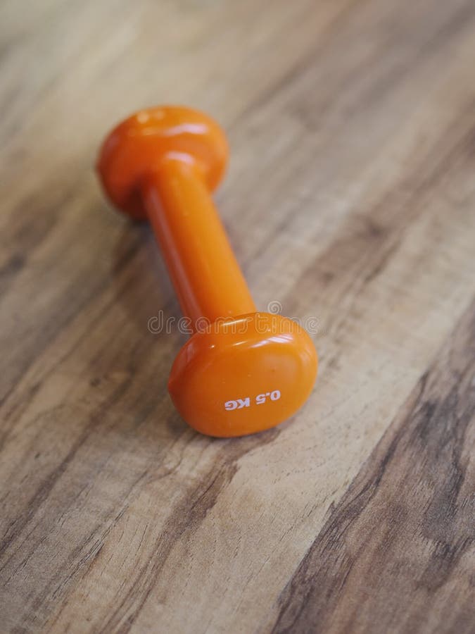 Dumbbell gymnastic stock image. Image of comfort, small - 48710765