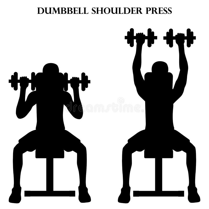 Dumbbell Shoulder Press Stock Illustrations – 273 Dumbbell Shoulder ...