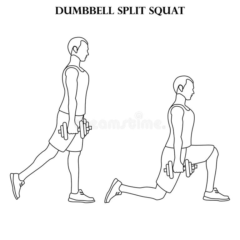 Dumbbell Split Squat Stock Illustrations – 47 Dumbbell Split Squat ...
