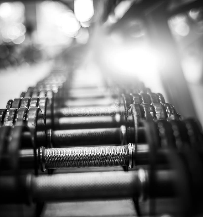 Dumbbells in a Different Weights in the Gym Stock Image - Image of ...