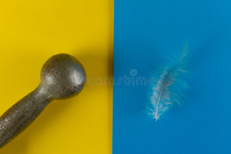 Dumbbells and feather stock image. Image of heavy, woman - 162795595