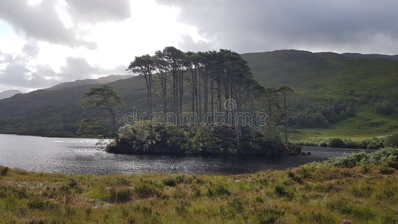 Dumbledore Grave stock photo. Image of dumbledores, scotland - 157136068