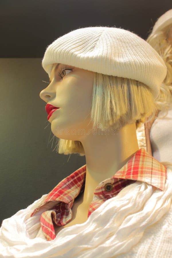 Dummy stock image. Image of style, face, dummy, store - 12365913