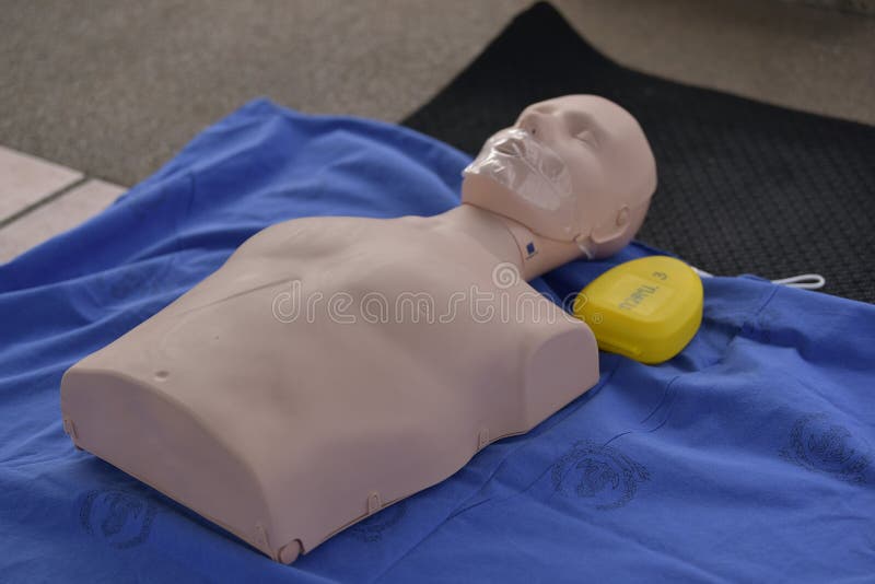 Dummy CPR stock illustration. Illustration of hospital - 211949527