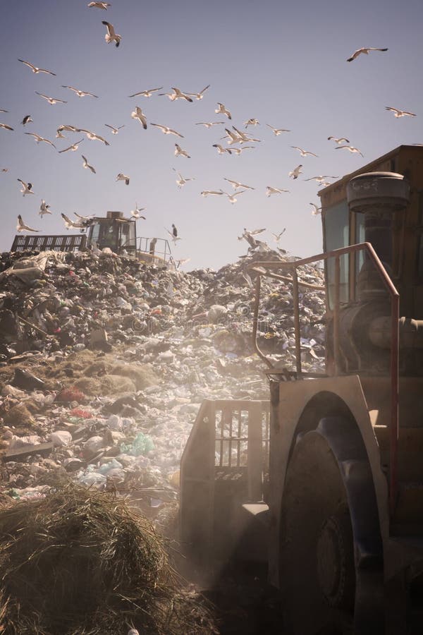At the dump stock image. Image of landfill, rubbish, south - 13148953