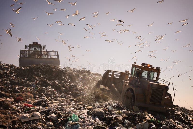At the dump stock image. Image of seagulls, truck, recycling - 13148501