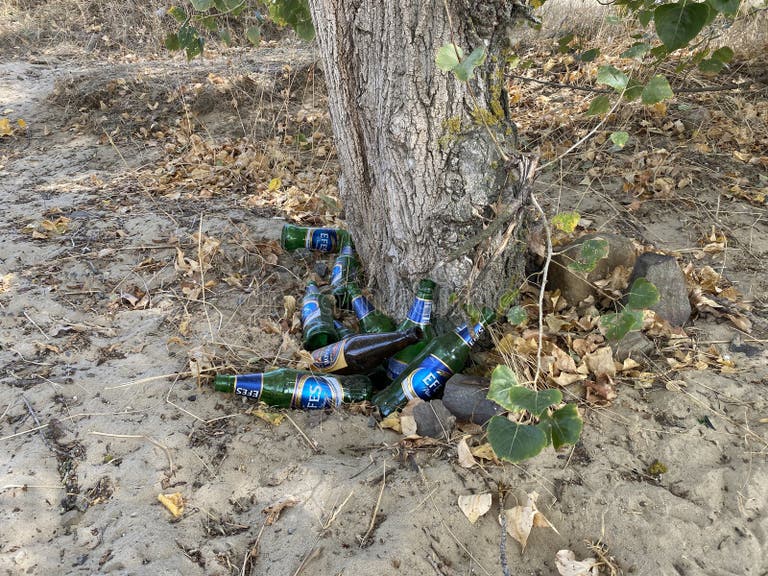 Dump of Beer Bottles Under a Tree on Beach. Garbage in Nature ...