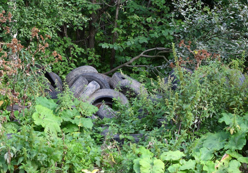 Dump of Old Rubber Tires in the Green Forest Stock Image - Image of ...