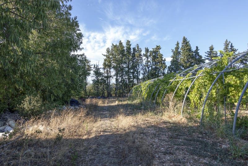 Dump with Plastic Garbage in the Fields, Nature Pollution with Plastic ...