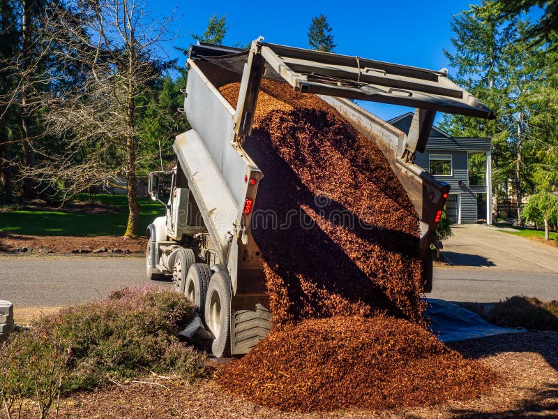 Dump Truck Dumping stock image. Image of dump, industrial - 142565759