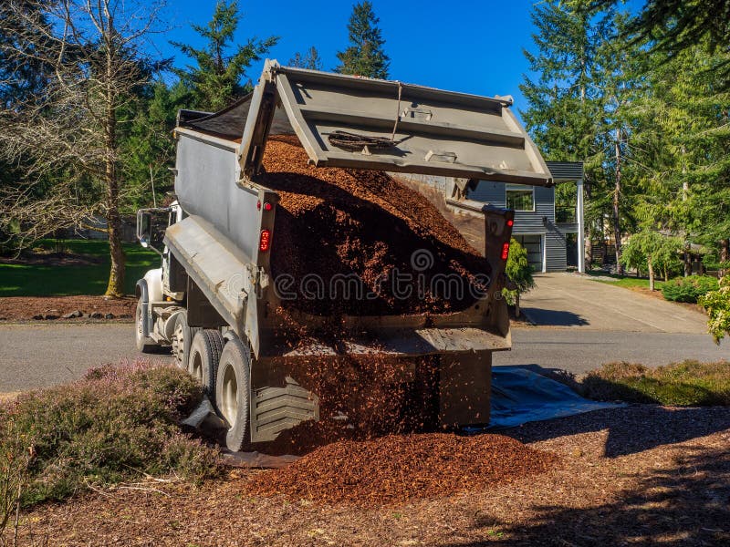 Dump Truck Dropping Load stock image. Image of bulldozer - 142565761