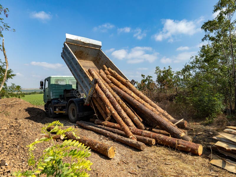 Truck Trailer Sizes Chart Stock Photos - Free & Royalty-Free Stock ...
