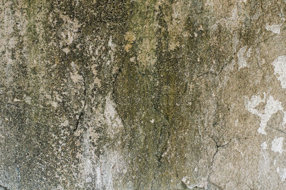 Dump wall stock image. Image of leak, dampness, water - 101022861