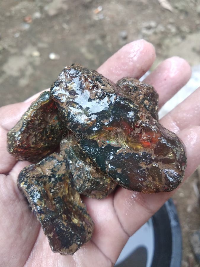 Dumping of Coal Mine Residue. People Extracting Coal Waste for Amber ...