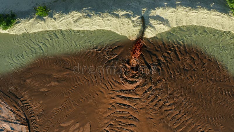 Dumping of Hazardous Chemical Industrial Waste: Environmental Pollution ...