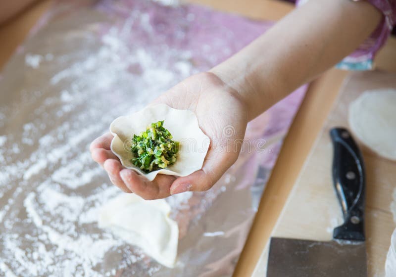 Dumpling Making stock photo. Image of human, mixture - 59575794